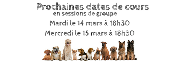 Les prochaines dates de cours | Le Loft Canin Hôtel Resort & Spa
